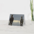 Christmas Percheron Draft Horse Holiday Card | Zazzle.com