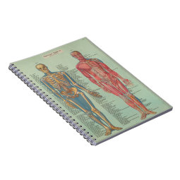 Notebook - Anatomy | Zazzle