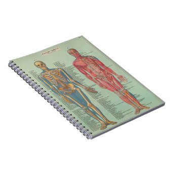 Notebook - Anatomy | Zazzle