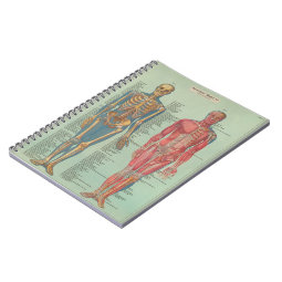 Notebook - Anatomy | Zazzle