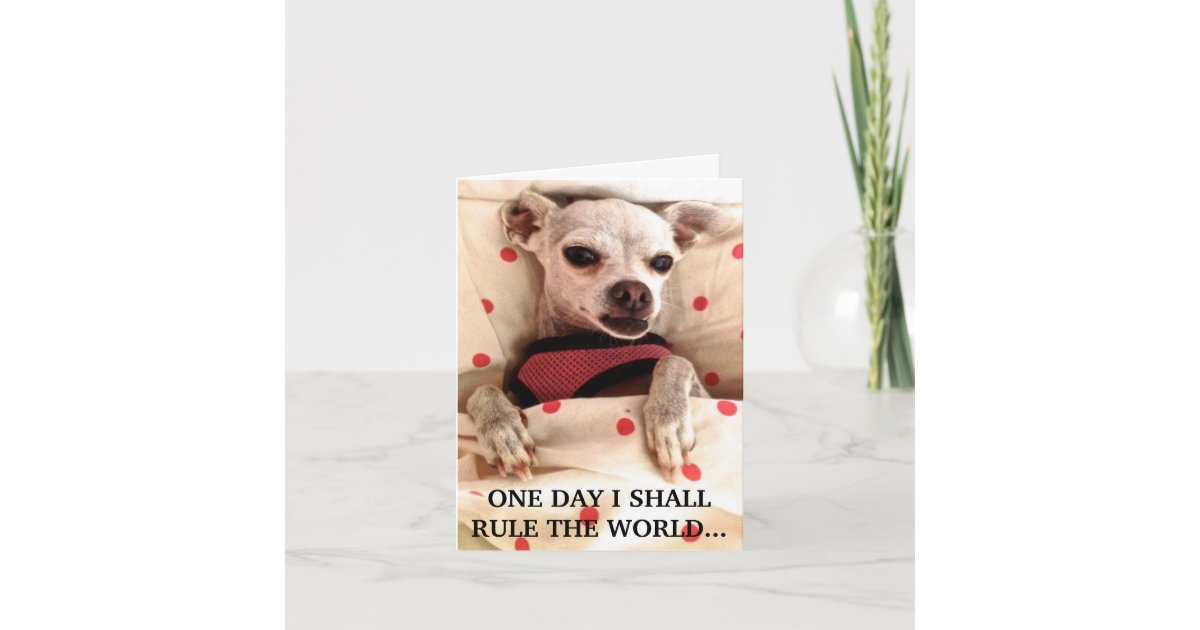 NOTECARD-ONE DAY I SHALL RULE THE WORLD CARD | Zazzle