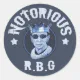Notorious RBG III Classic Round Sticker | Zazzle