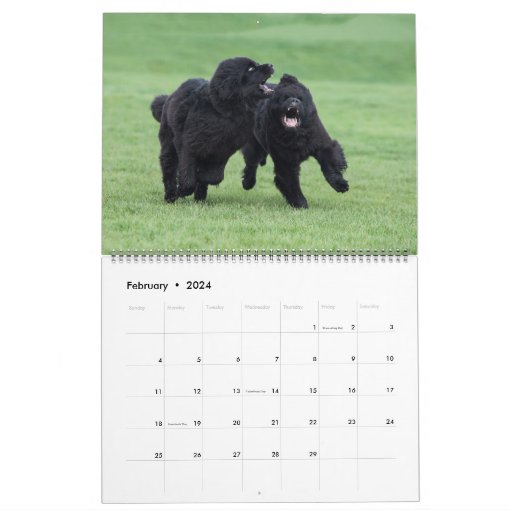 Notta Bear Newfs In Motion Calendar | Zazzle