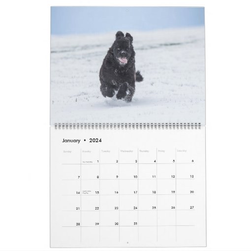 Notta Bear Newfs In Motion Calendar | Zazzle