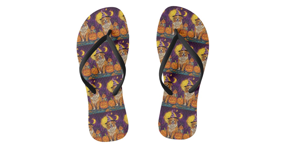 Nova Scotia Duck Toller Halloween Witch Pumpkin Flip Flops | Zazzle