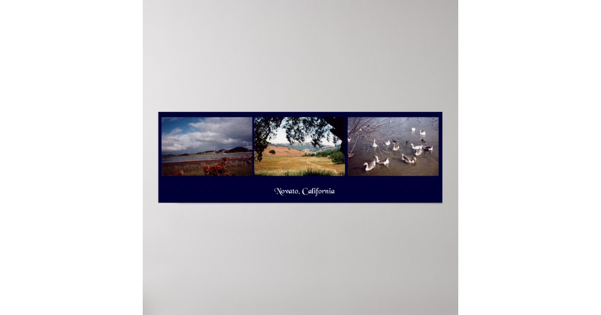 Novato, California Poster | Zazzle