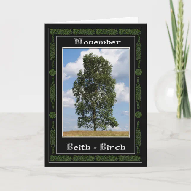 November Celtic Druid Birthday Tree Symbols Card | Zazzle