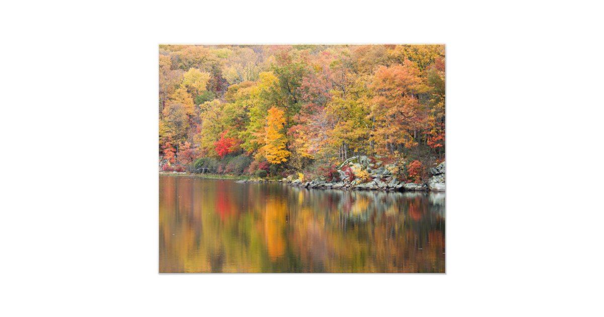 Nuclear Autumn Photo Print | Zazzle