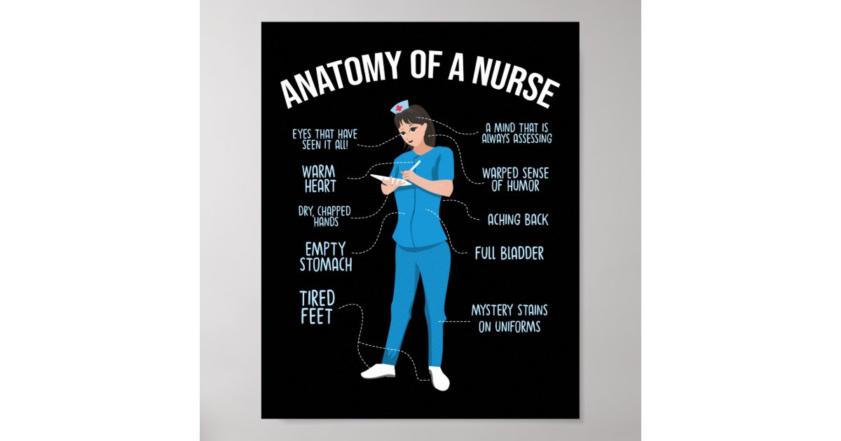 Nurse Anatomy Of A Nurse Poster | Zazzle