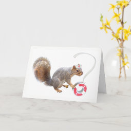 Nurse Squirrel Card | Zazzle