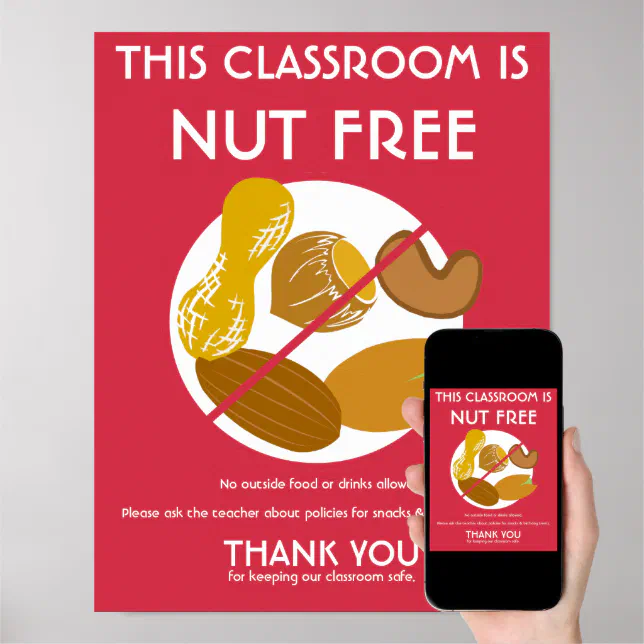 Nut Free Classroom Sign for School or Daycare | Zazzle