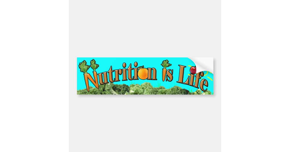 Nutrition is life bumper sticker | Zazzle