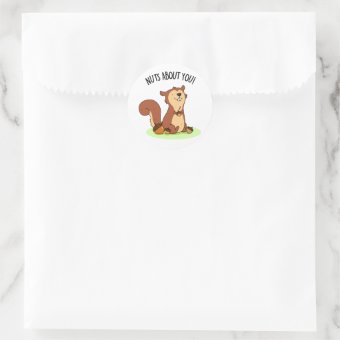 Nuts About You Funny Squirrel Pun Classic Round Sticker | Zazzle
