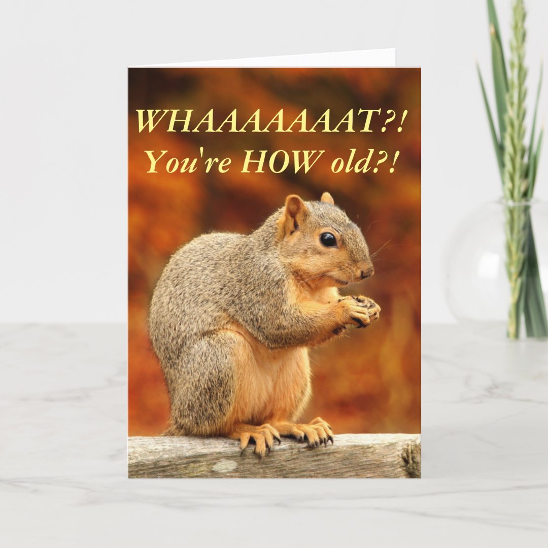 Nuts! Funny Birthday Card | Zazzle