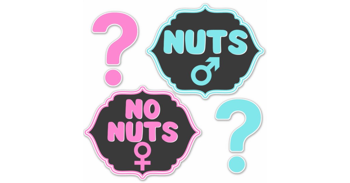 Nuts or No Nuts Pink|Blue Gender Reveal Sticker | Zazzle