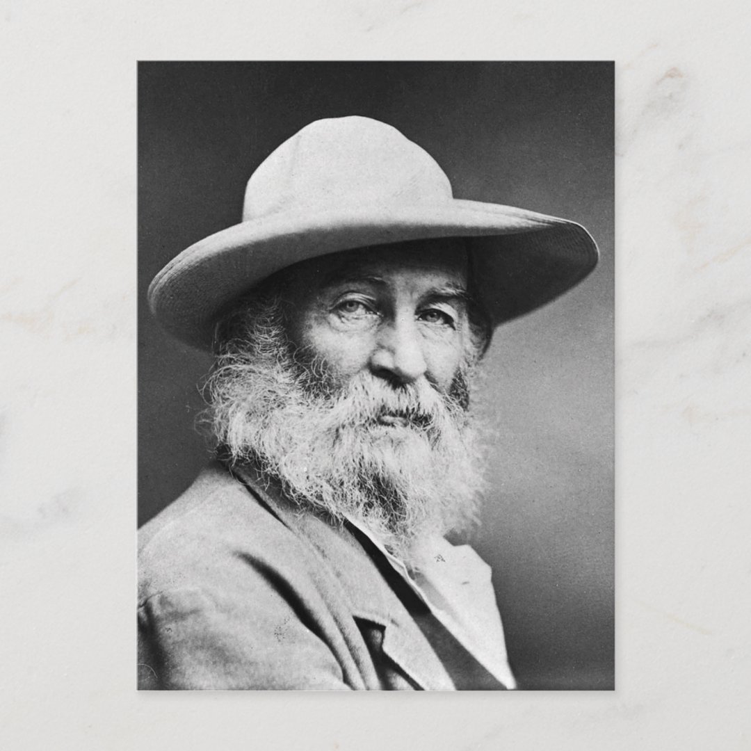 O CAPTAIN! my Captain! Walt Whitman Postcard | Zazzle