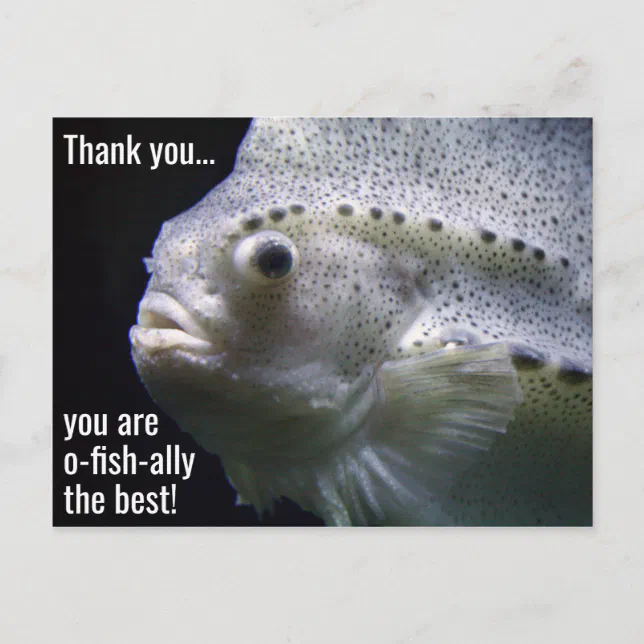 O-fish-ally the Best Thank You Postcard | Zazzle