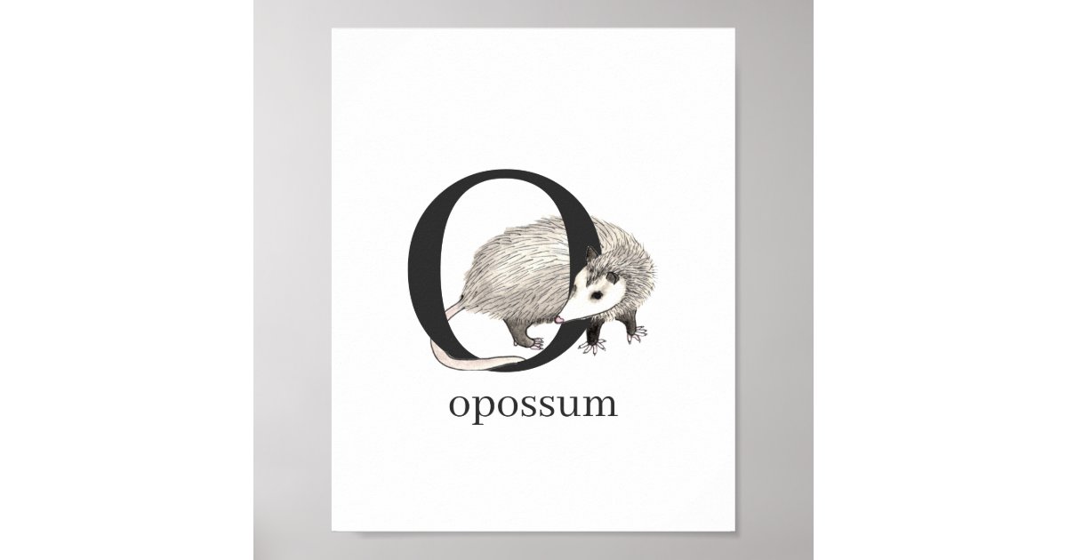 O for Opossum Poster | Zazzle