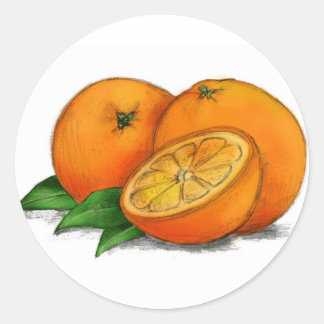 Orange Fruit Stickers | Zazzle