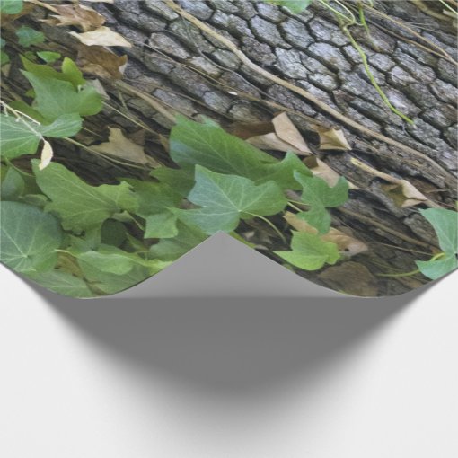 Oak and Ivy Wrapping Paper | Zazzle