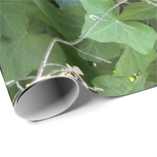 Oak and Ivy Wrapping Paper | Zazzle