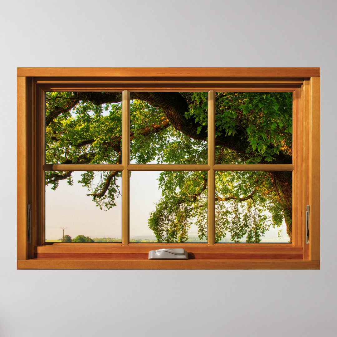 Oak Tree Branches Wooden Window Illusion Poster | Zazzle