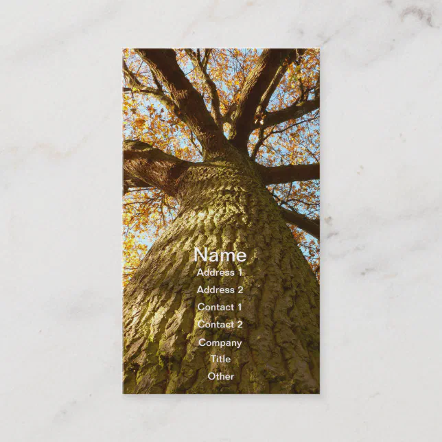 Oak Tree Business Card | Zazzle