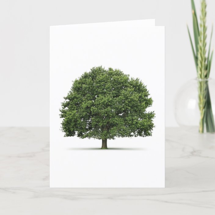 Oak Tree Card | Zazzle.com