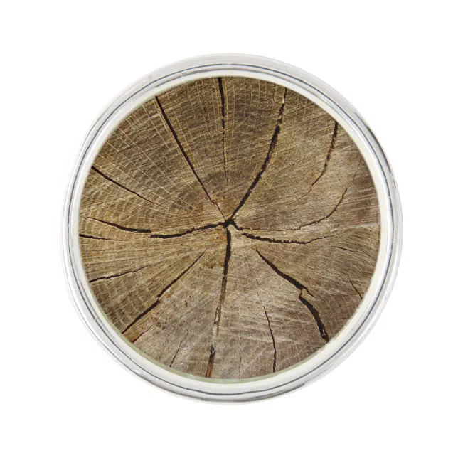 Oak Tree Cross Section Lapel Pin | Zazzle