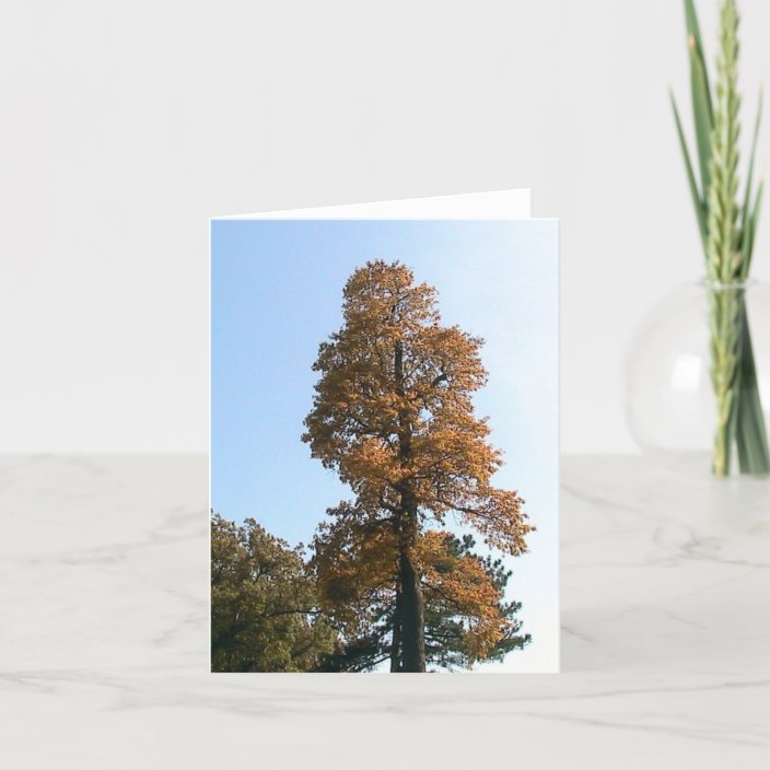 Oak Tree Greeting Card | Zazzle.com