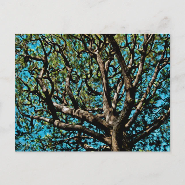 Oak Tree Postcard | Zazzle