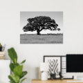 Oak Tree Poster | Zazzle