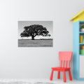 Oak Tree Poster | Zazzle