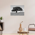 Oak Tree Poster | Zazzle