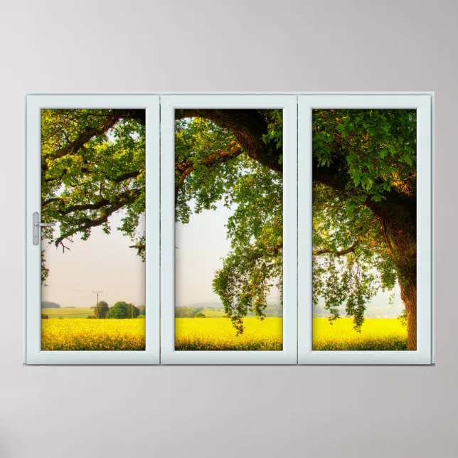 Oak Tree White 3 Pane Window Illusion Poster | Zazzle