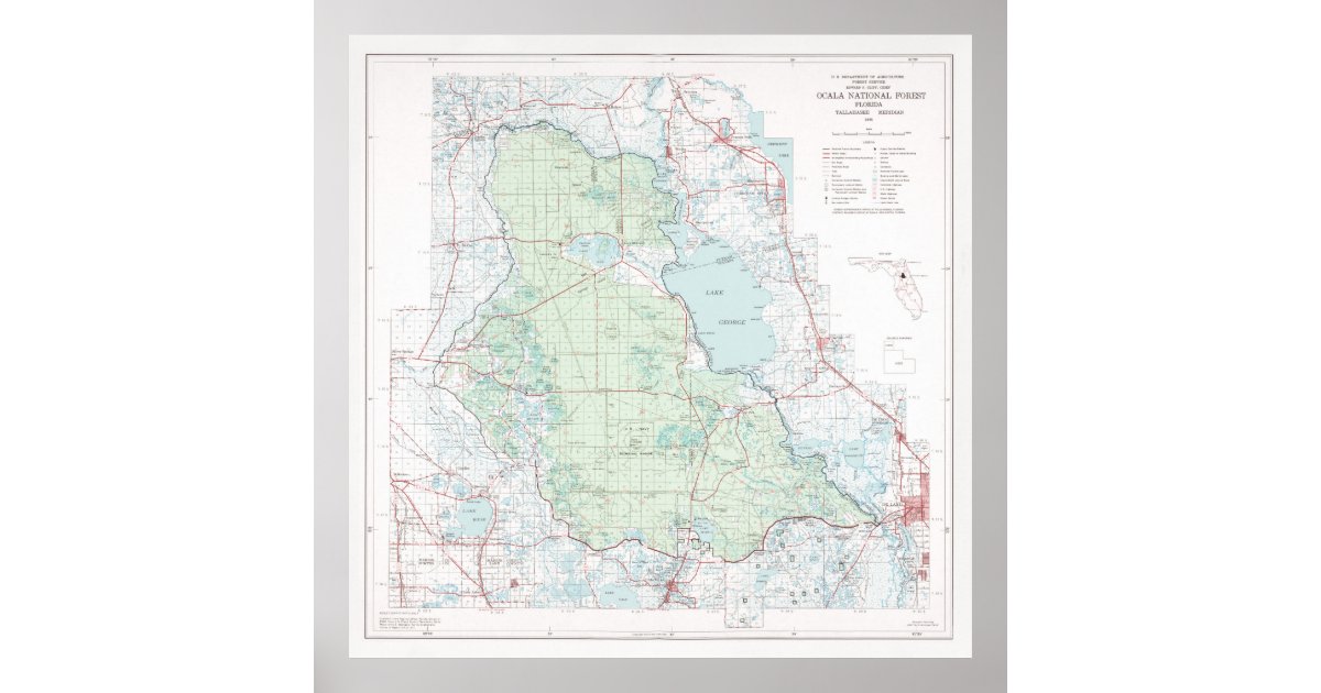 Ocala National Forest Map (1971) Florida Woodlands Poster | Zazzle