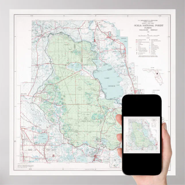 Ocala National Forest Map (1971) Florida Woodlands Poster | Zazzle