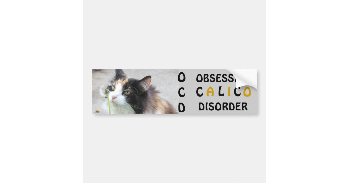 OCD Obsessive Calico Disorder Bumper Sticker | Zazzle