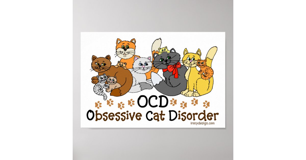 OCD Obsessive Cat Disorder Poster | Zazzle