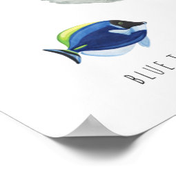 Ocean Animals | Education Learning Classroom Poster | Zazzle