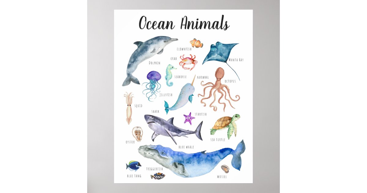 Ocean Animals | Education Learning Classroom Poster | Zazzle.com