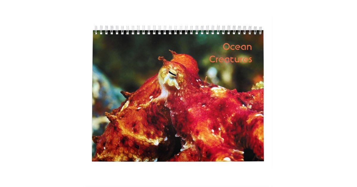 Ocean Creatures Calendar | Zazzle.com