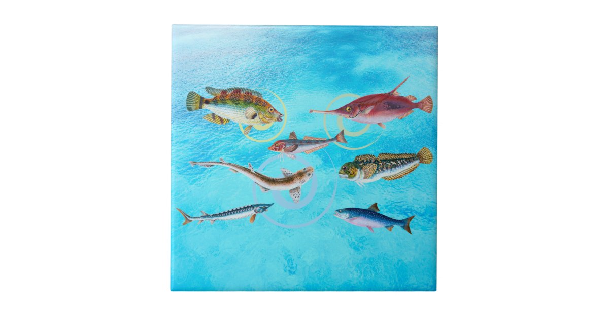 Ocean Delight Ceramic Tile | Zazzle