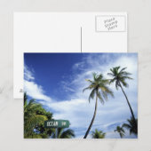 Ocean Drive' road sign, South Beach, Miami, Florid Postcard | Zazzle