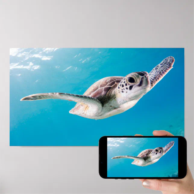 Ocean Turtle Poster | Zazzle