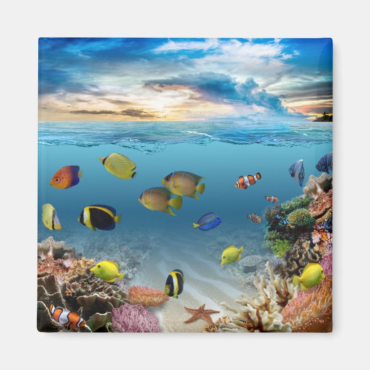 Ocean Underwater Coral Reef Tropical Fish Magnet | Zazzle