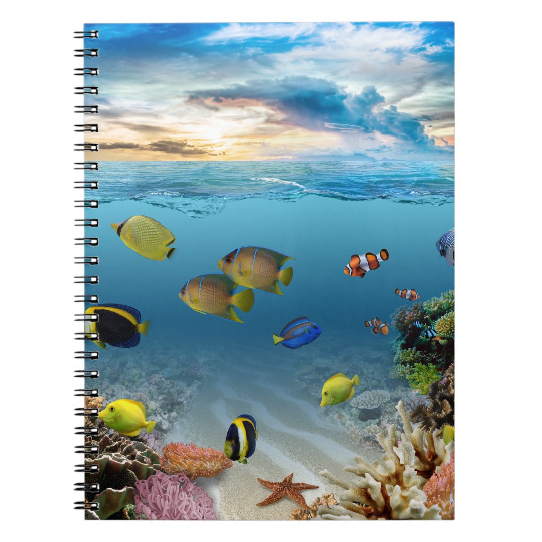 Ocean Underwater Coral Reef Tropical Fish Notebook | Zazzle