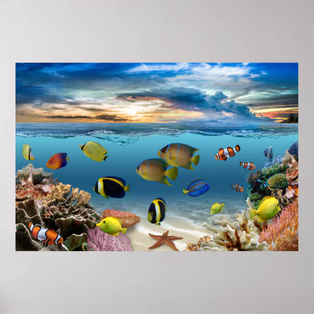Ocean Underwater Coral Reef Tropical Fish Poster | Zazzle