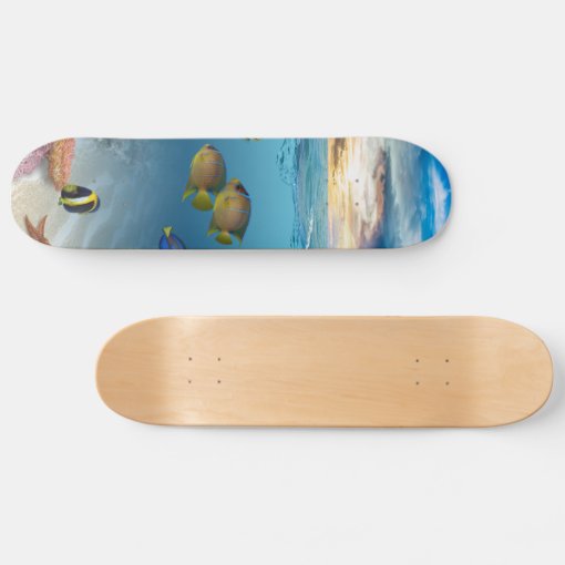 Ocean Underwater Coral Reef Tropical Fish Skateboard | Zazzle
