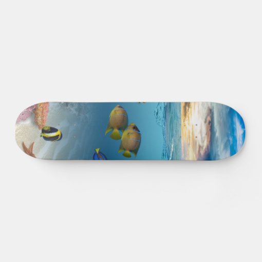 Ocean Underwater Coral Reef Tropical Fish Skateboard | Zazzle